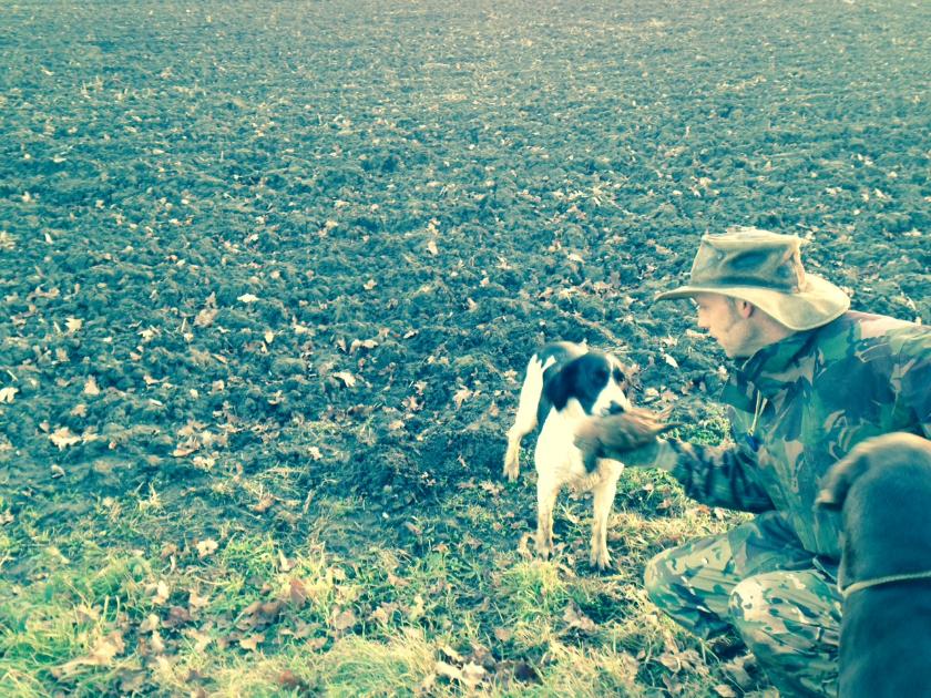 FenlanderGundogs.co.uk